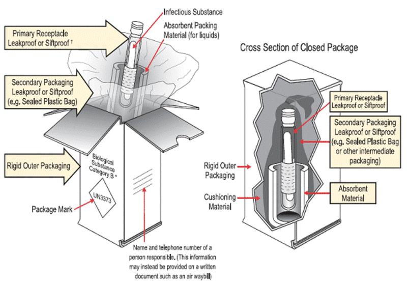 Infectious substances, Category B - Swiss Expert Committee for ...